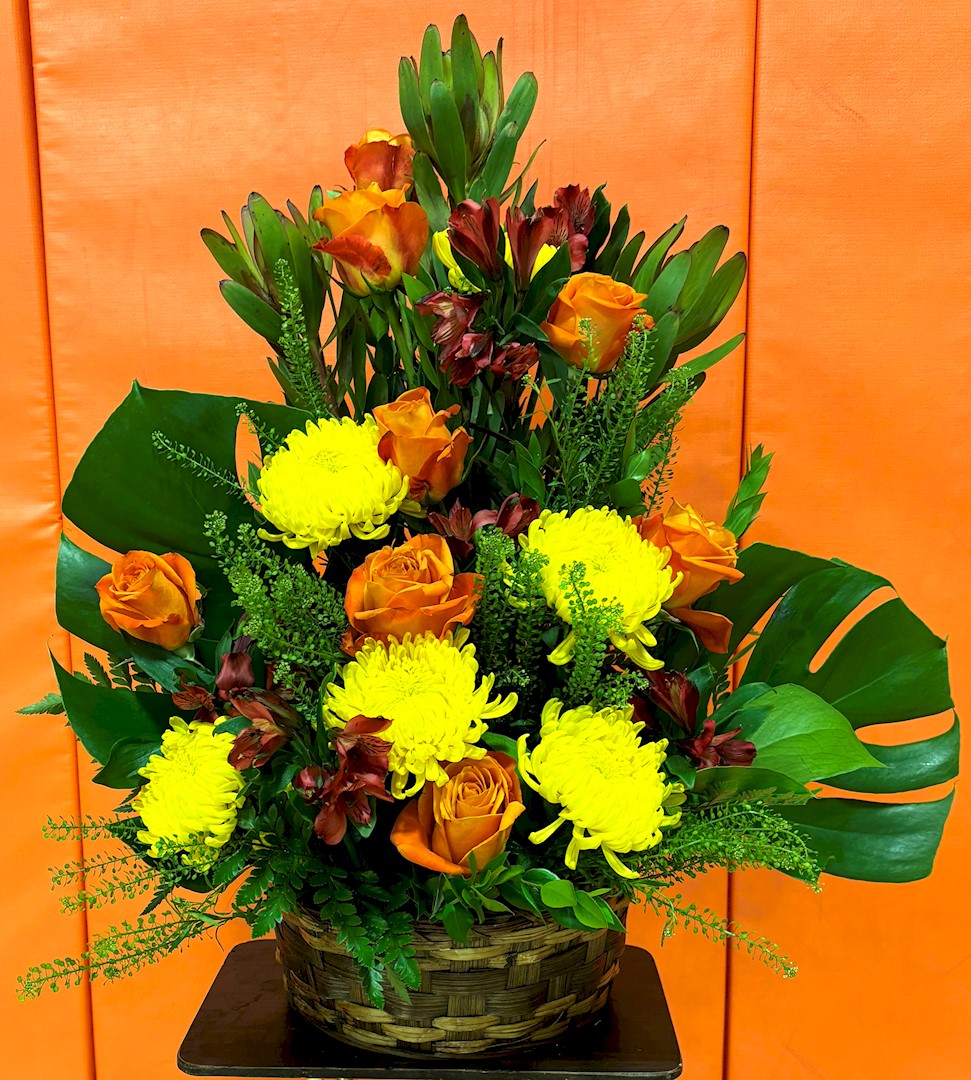 Obituary: Dr. Coen Klopper