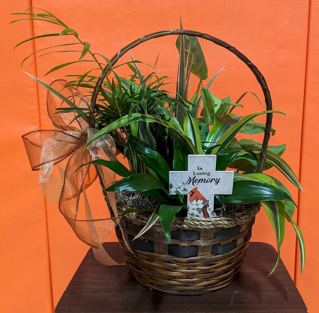 Obituary: Dr. Coen Klopper