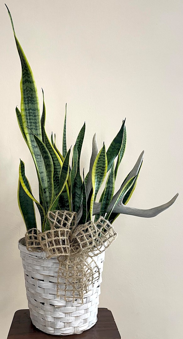 Obituary: Vickie Lynn Fite