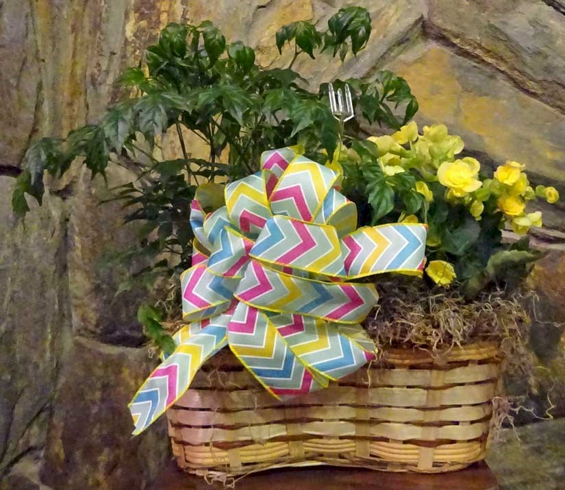 Obituary: Helen Harty