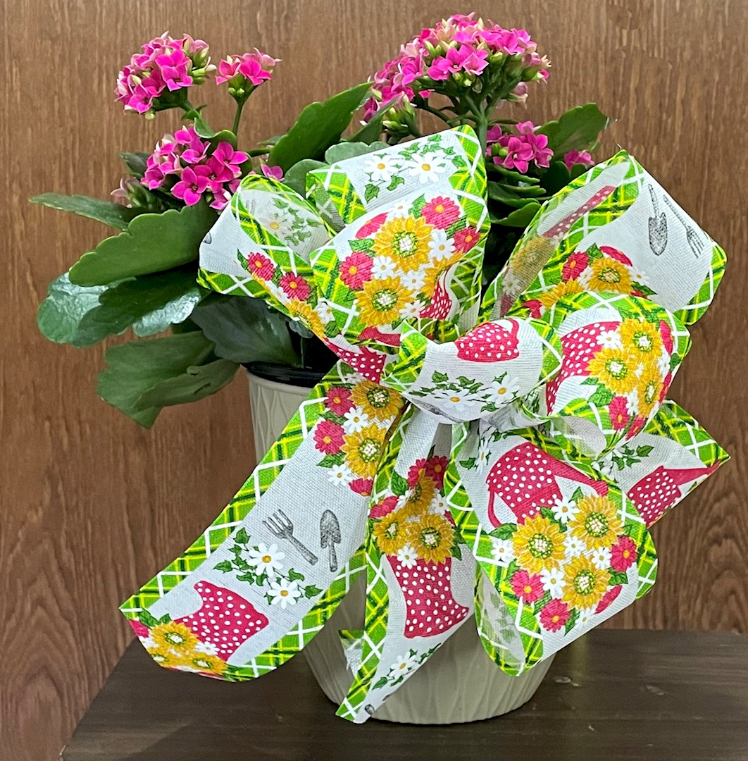 Obituary: Tammy Lewis