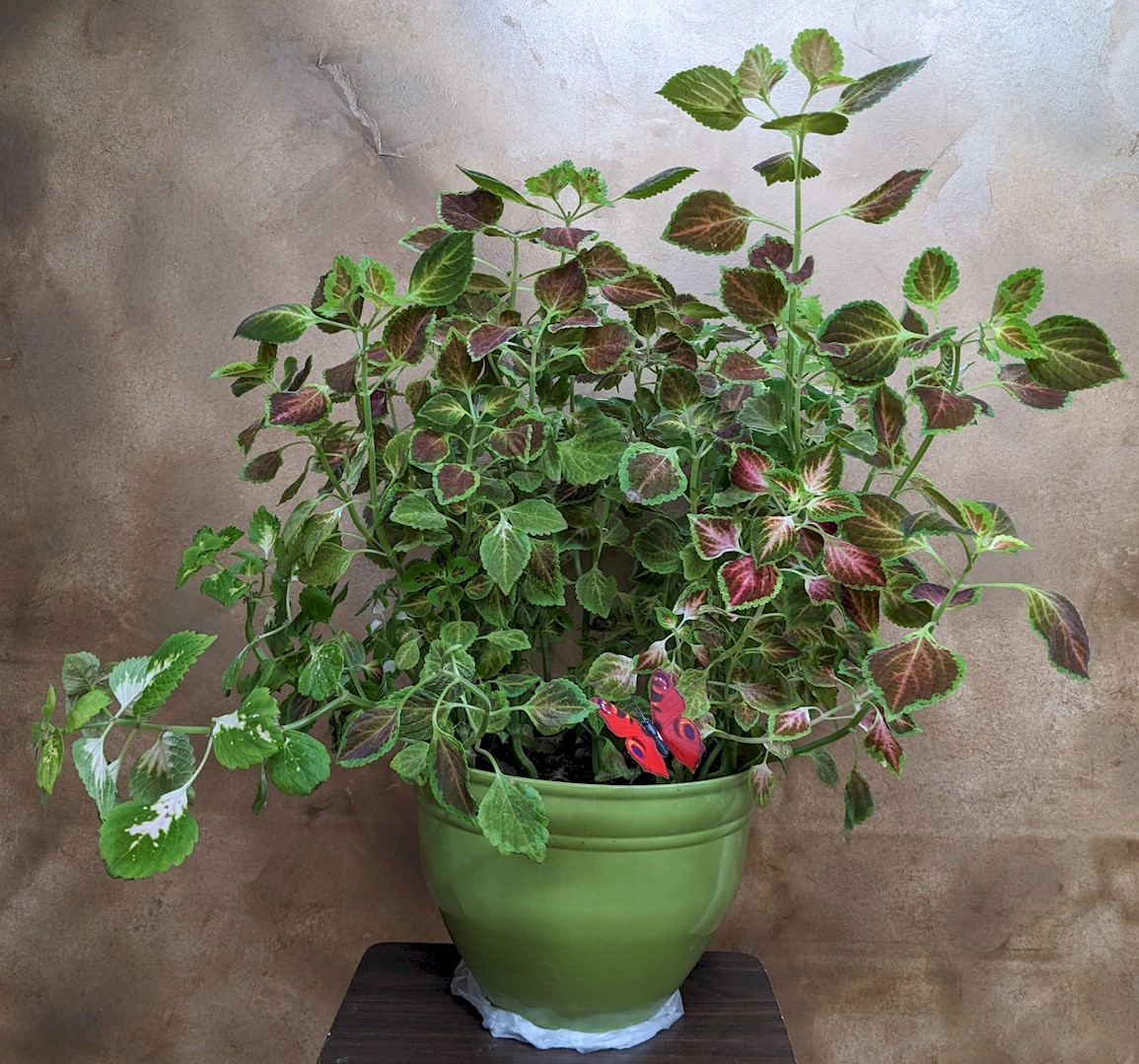 Obituary: Bob McDaniel